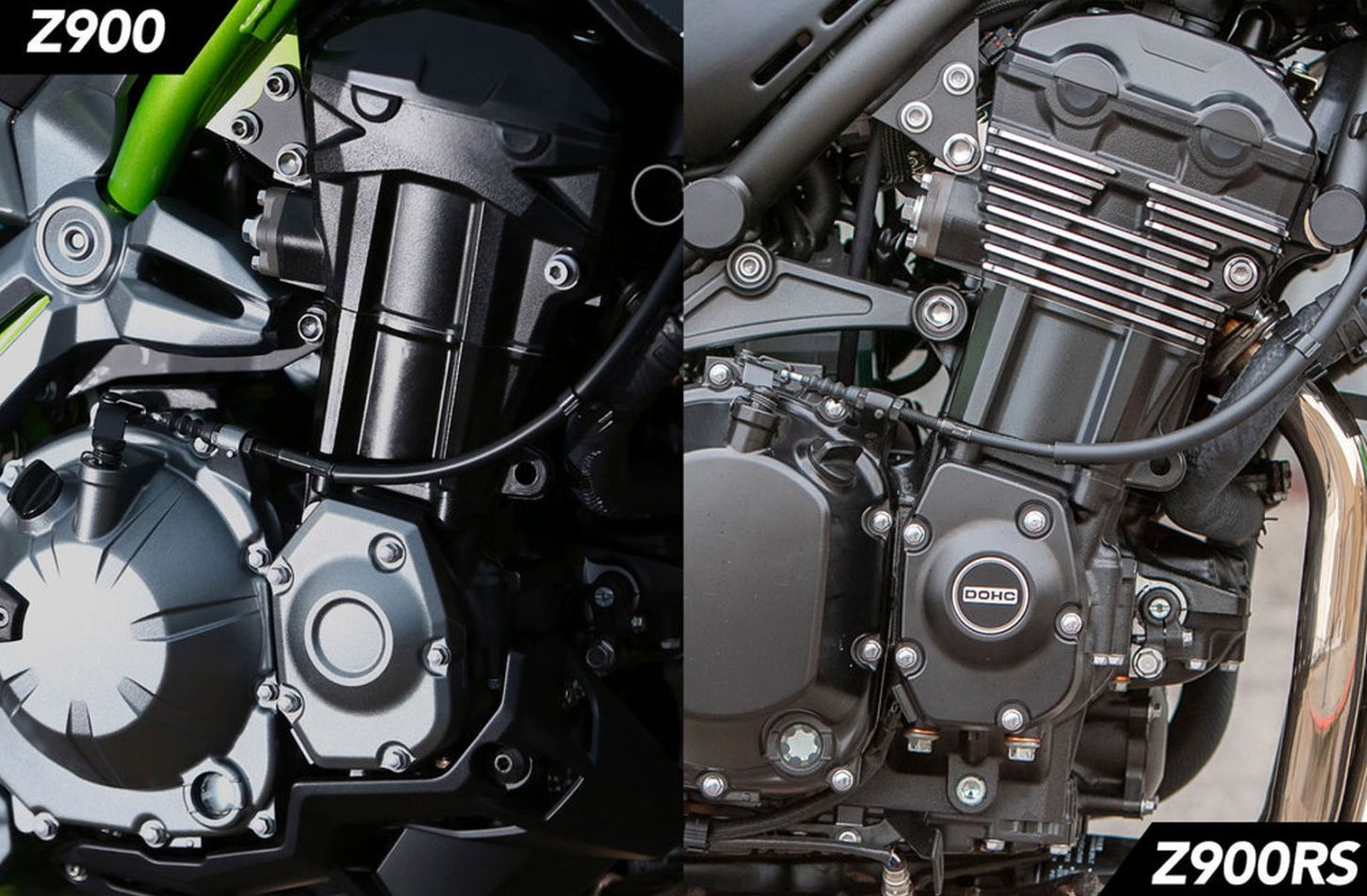 Evolution or Devolution?: Kawasaki Z900RS VS Kawasaki Z900 - Return of ...